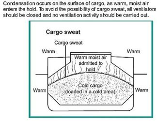 Coal in a Bulk Carrier | Diagrams, Hazards, Precautions, Preparations