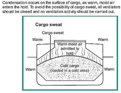 Coal in a Bulk Carrier | Diagrams, Hazards, Precautions, Preparations