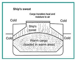 Coal in a Bulk Carrier | Diagrams, Hazards, Precautions, Preparations